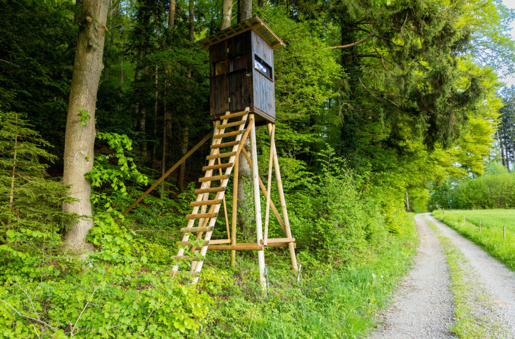 The Do’s and Don’ts of Tree Stand Hunting for Deer - Hunter's World