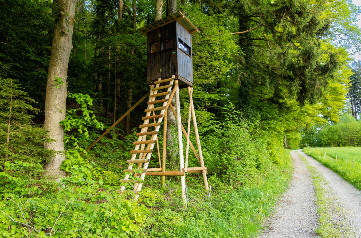 The Do’s and Don’ts of Tree Stand Hunting for Deer - Hunter's World