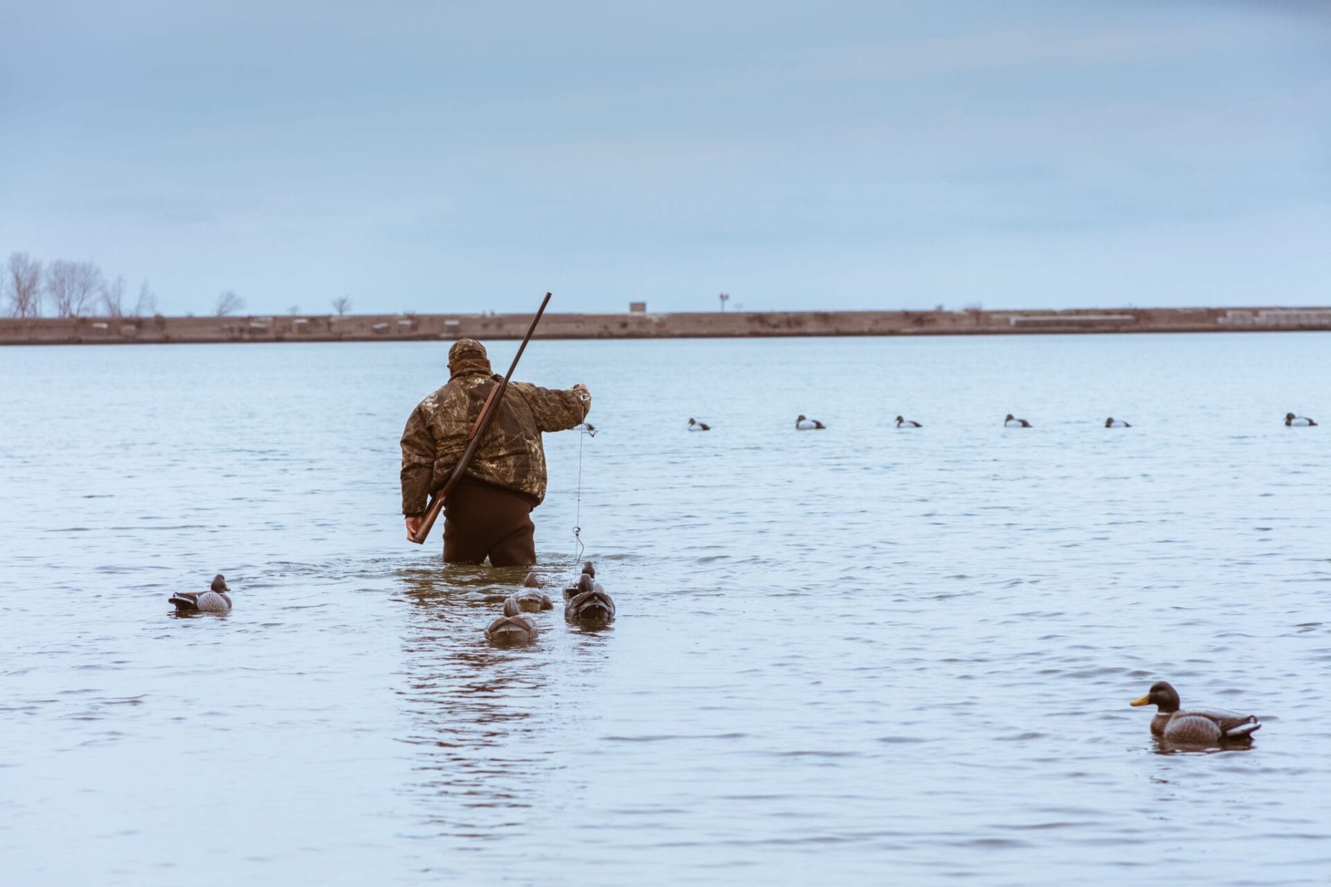 Essential Duck Hunting Gear for Every Season - Hunter's World
