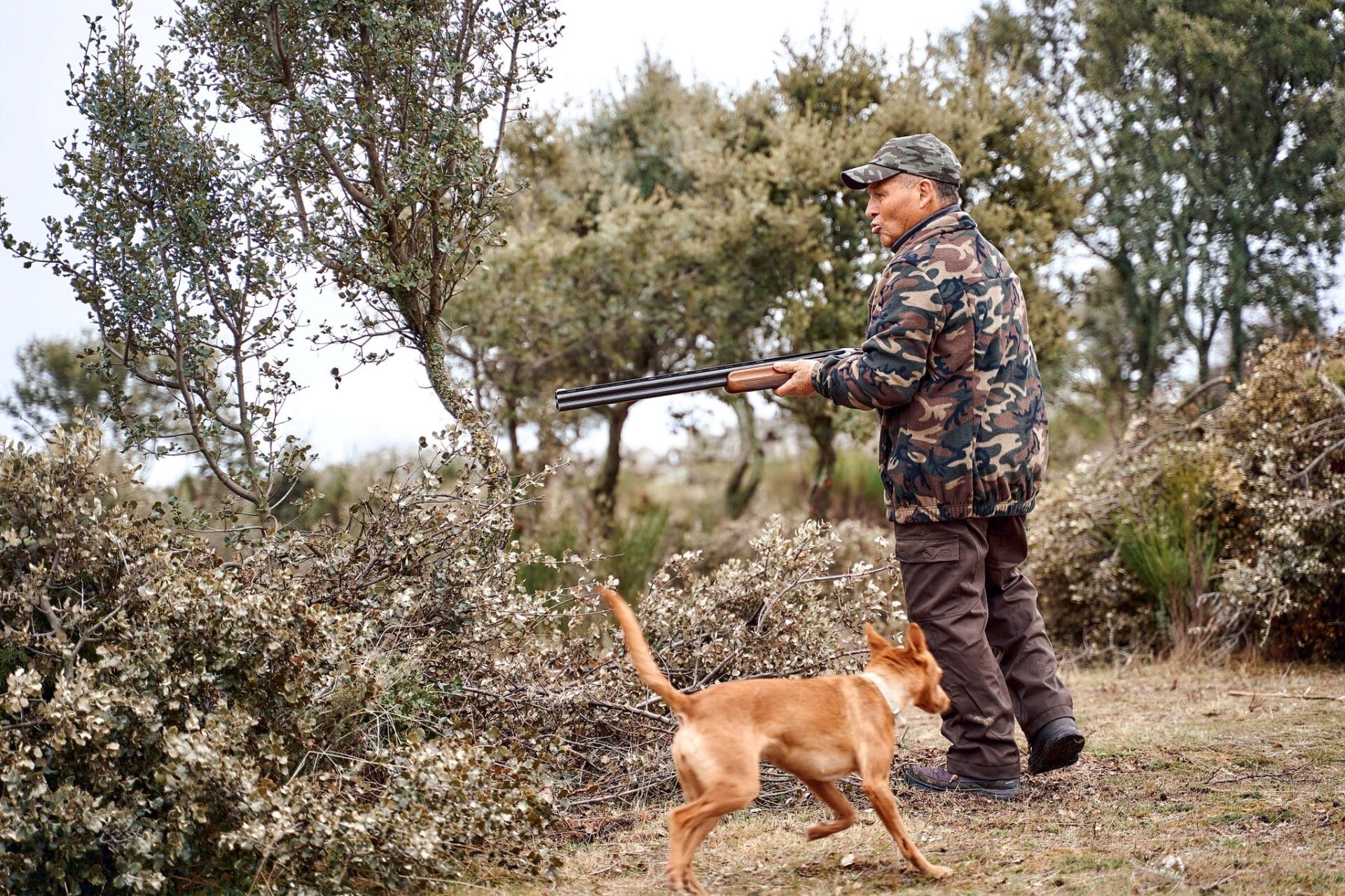 How to Hunt Squirrels and Rabbits Effectively - Hunter's World