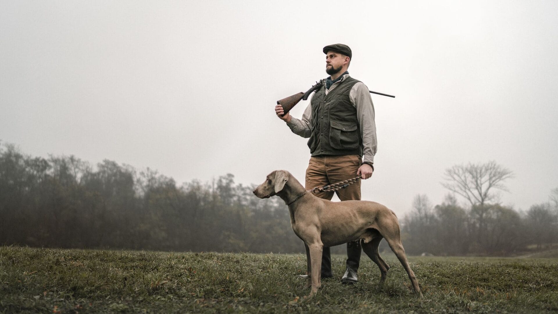 The Basics of Duck Hunting: What You Need to Know - Hunter's World